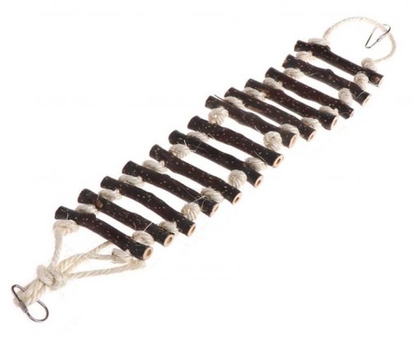 Best Toys for Pet Mice: Our Picks to Keep Mice Entertained | Animallama