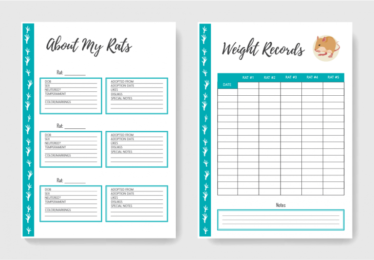 Rat Care Planner: A PDF Printable to Keep Track of Your Rats' Health ...