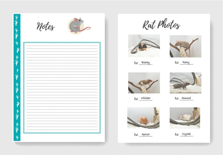 Rat Care Planner: A PDF Printable to Keep Track of Your Rats' Health ...