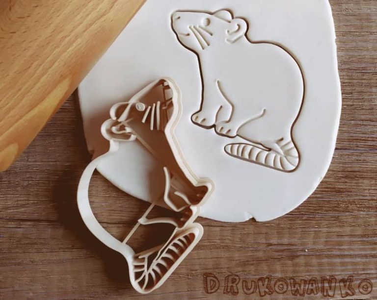 12 Awesome Gifts for Rat Lovers & Rat Owners | Animallama