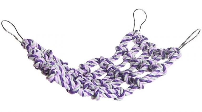 12 Awesome Gifts for Rat Lovers & Rat Owners | Animallama