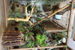 Best Rat Cages: Minimum Cage Size, Bar Spacing & Other Requirements ...