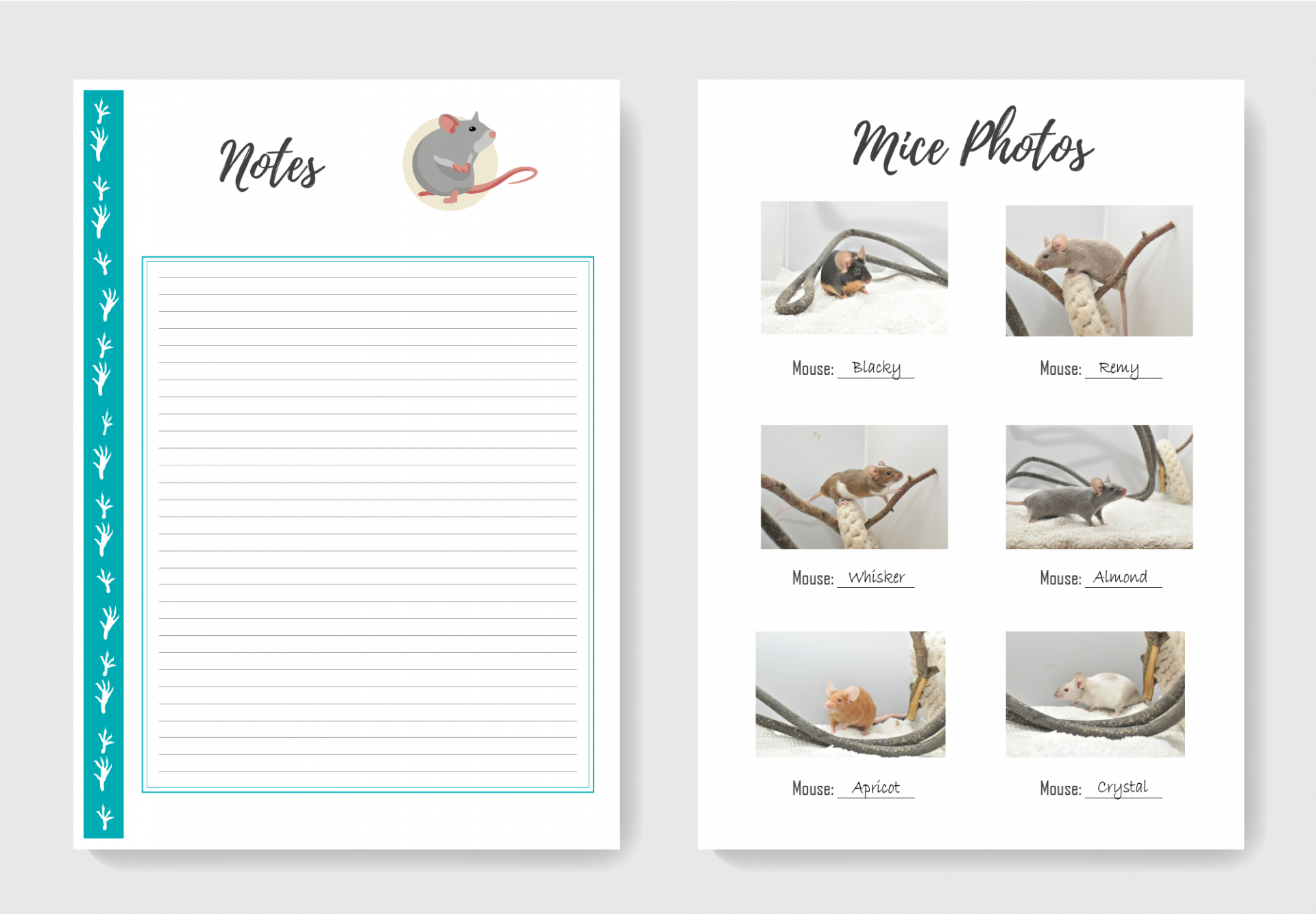 Mice Care Planner: A PDF Printable to Record Important Information ...