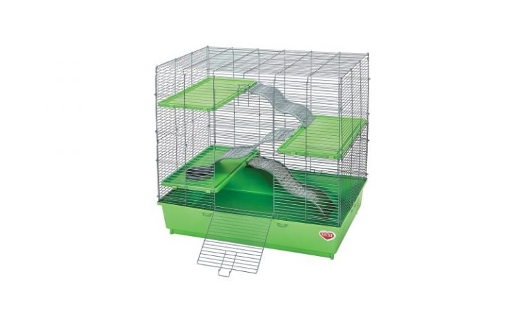 Best Rat Cages That Meet Ethical Cage Size Requirements