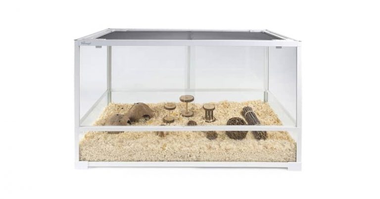 Best Hamster Cages That Meet Ethical Cage Requirements