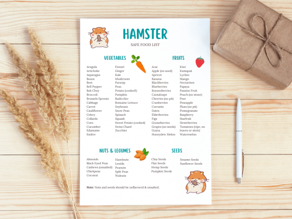 Hamster Supplies List: 14 Must-Haves for Your Hamster | Animallama