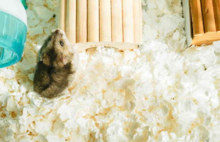 Best Hamster Bedding: Burrowing Substrate, Nesting Material & Litter