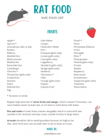 Safe Rat Food List: Veggies, Fruits, Nuts, Seeds, Herbs, Protein & More