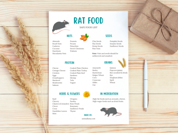 Library of Free Printables for Small Pet Owners | Animallama