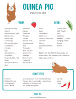 Safe Fresh Food List for Guinea Pigs: Vegetables, Fruits & Herbs ...