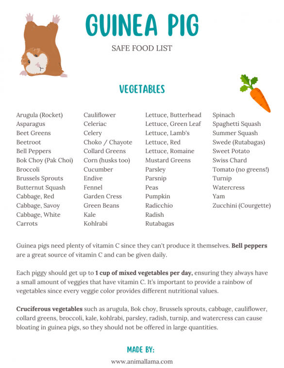 Safe Fresh Food List for Guinea Pigs: Vegetables, Fruits & Herbs ...