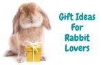 16 Creative Gifts for Rabbit Lovers & Owners | Animallama