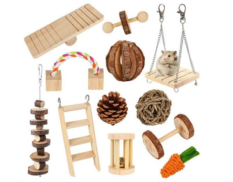 15 Gifts for Hamster Lovers & Owners - Adults & Kids | Animallama