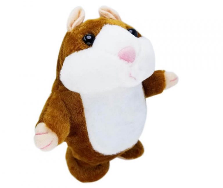 15 Gifts for Hamster Lovers & Owners - Adults & Kids | Animallama