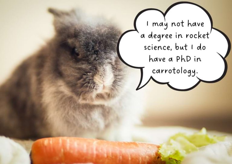 How Smart Are Rabbits? What's Behind Those Twitching Noses