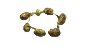 Rabbit Poop Guide: What Does Normal Rabbit Poop Look Like | Animallama