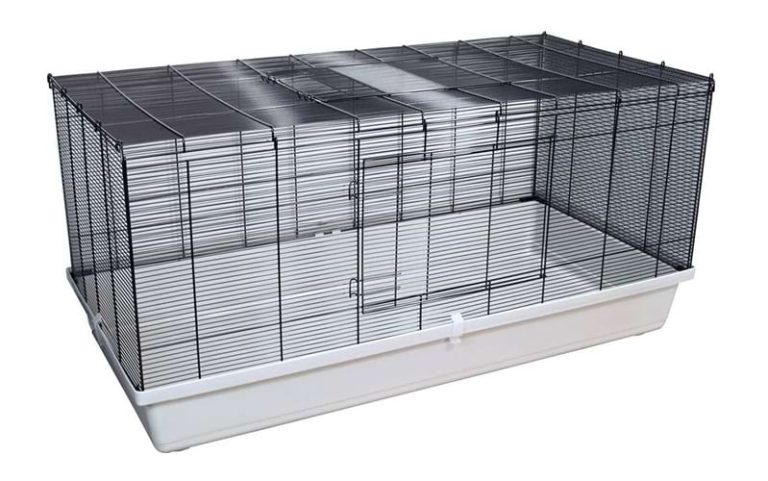 The Best Mice Cages for an Ethical Living Environment