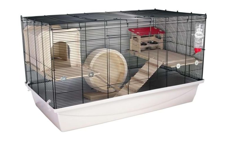 The Best Mice Cages for an Ethical Living Environment