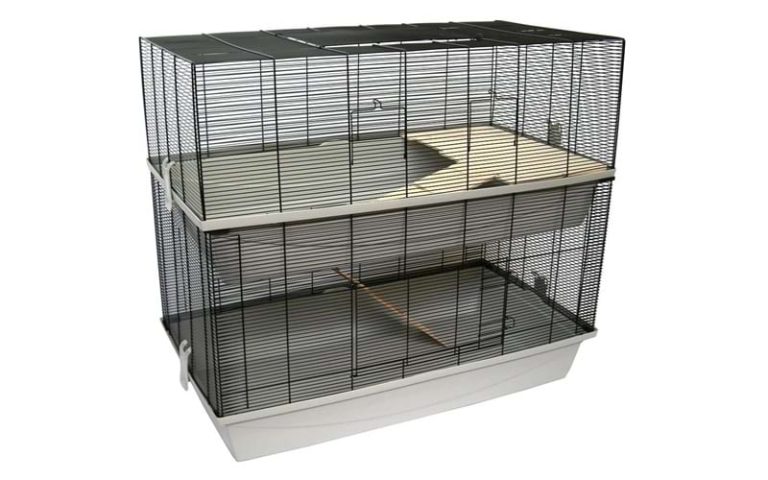 The Best Mice Cages for an Ethical Living Environment