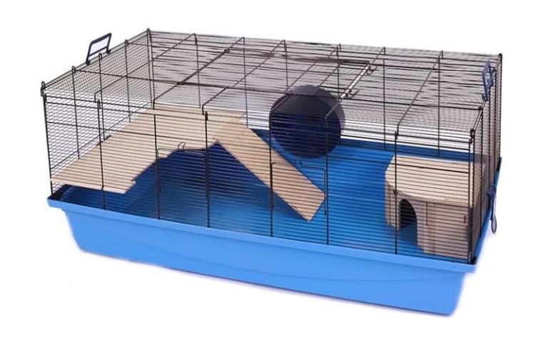 The Best Mice Cages for an Ethical Living Environment