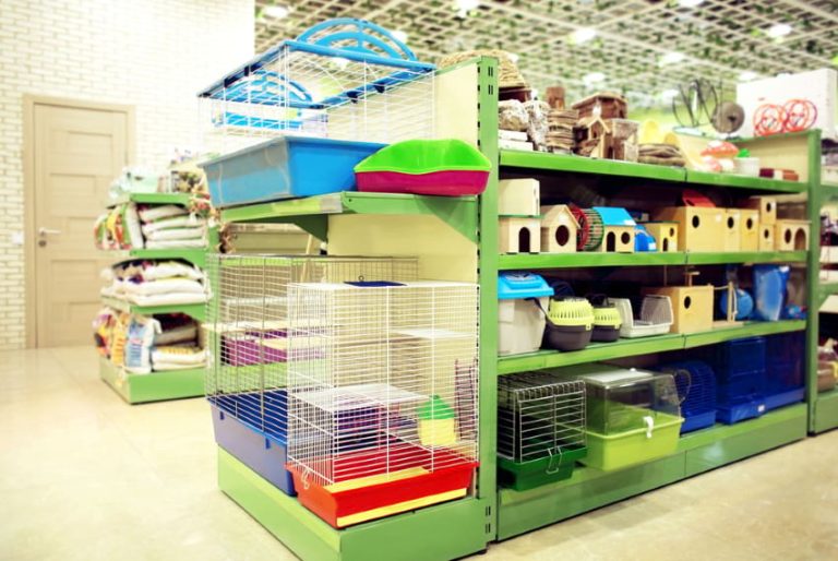 Where to Get Guinea Pigs Without Supporting Unethical Breeders